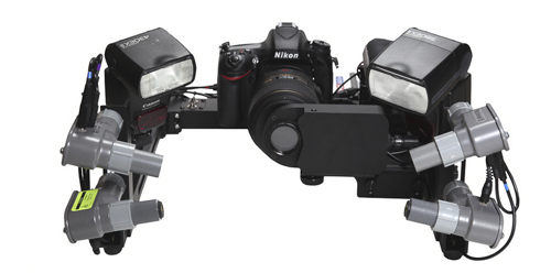 Remote Wildlife Photography w camera traps